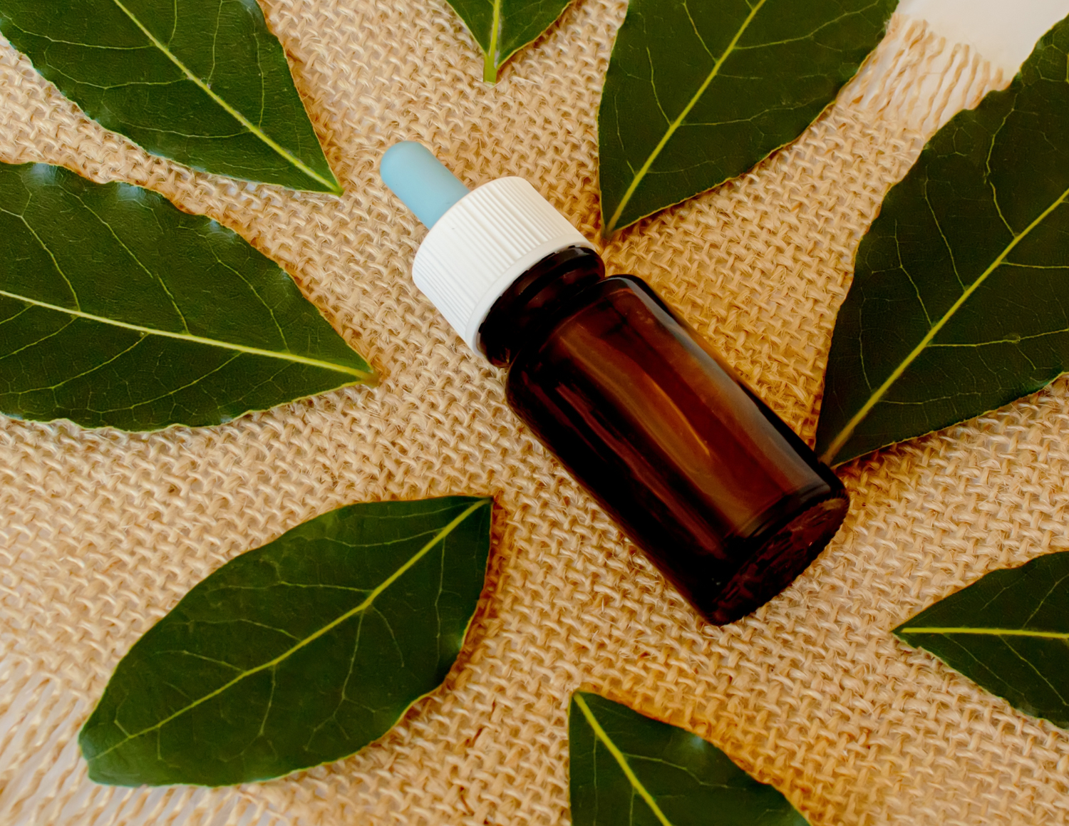 5 Diet Tips to Fight Candida Yeast | Your Blissful